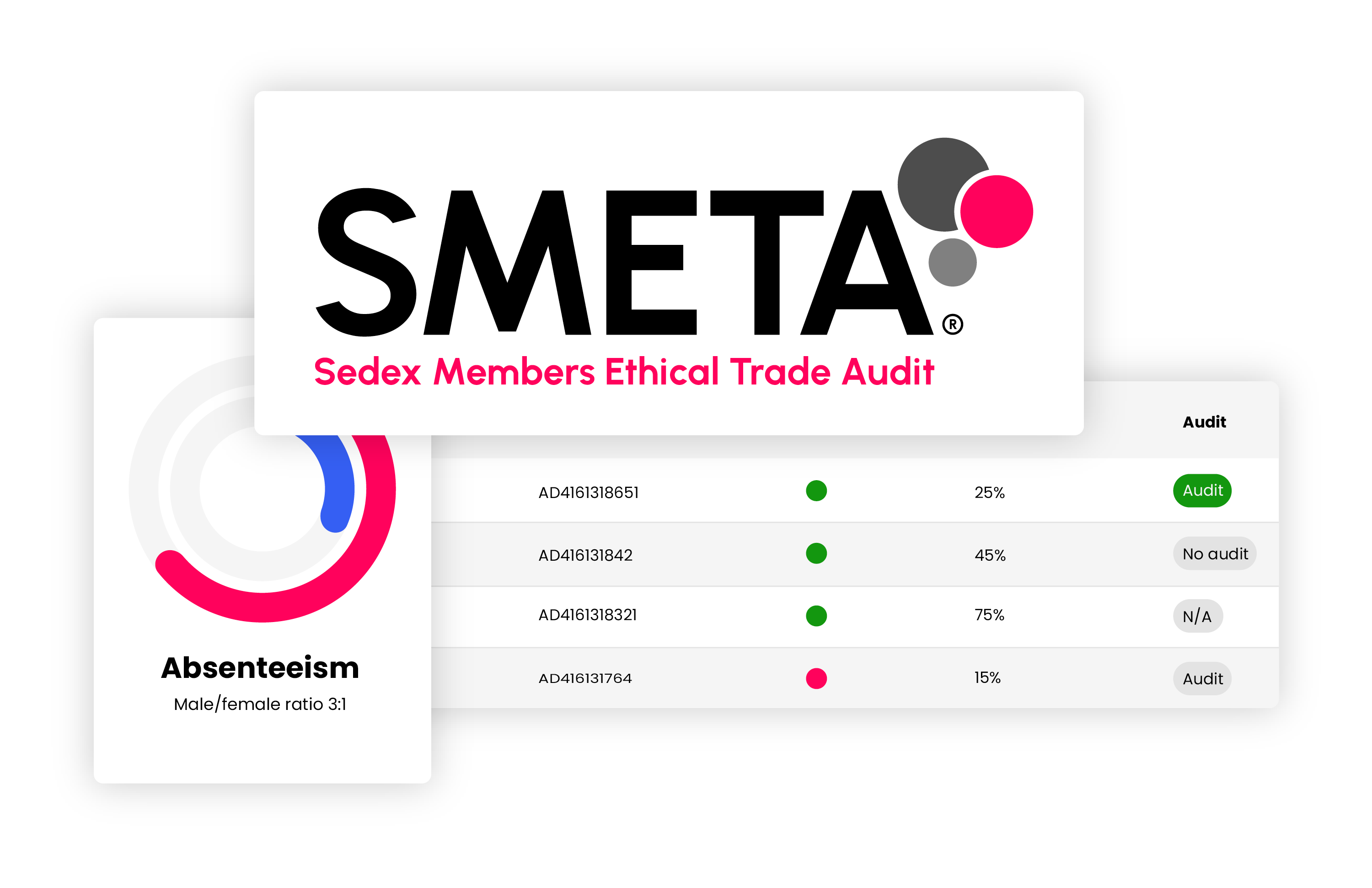 SMETA Solution Brief